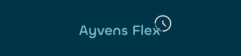 Flex | Operative leasing from Ayvens